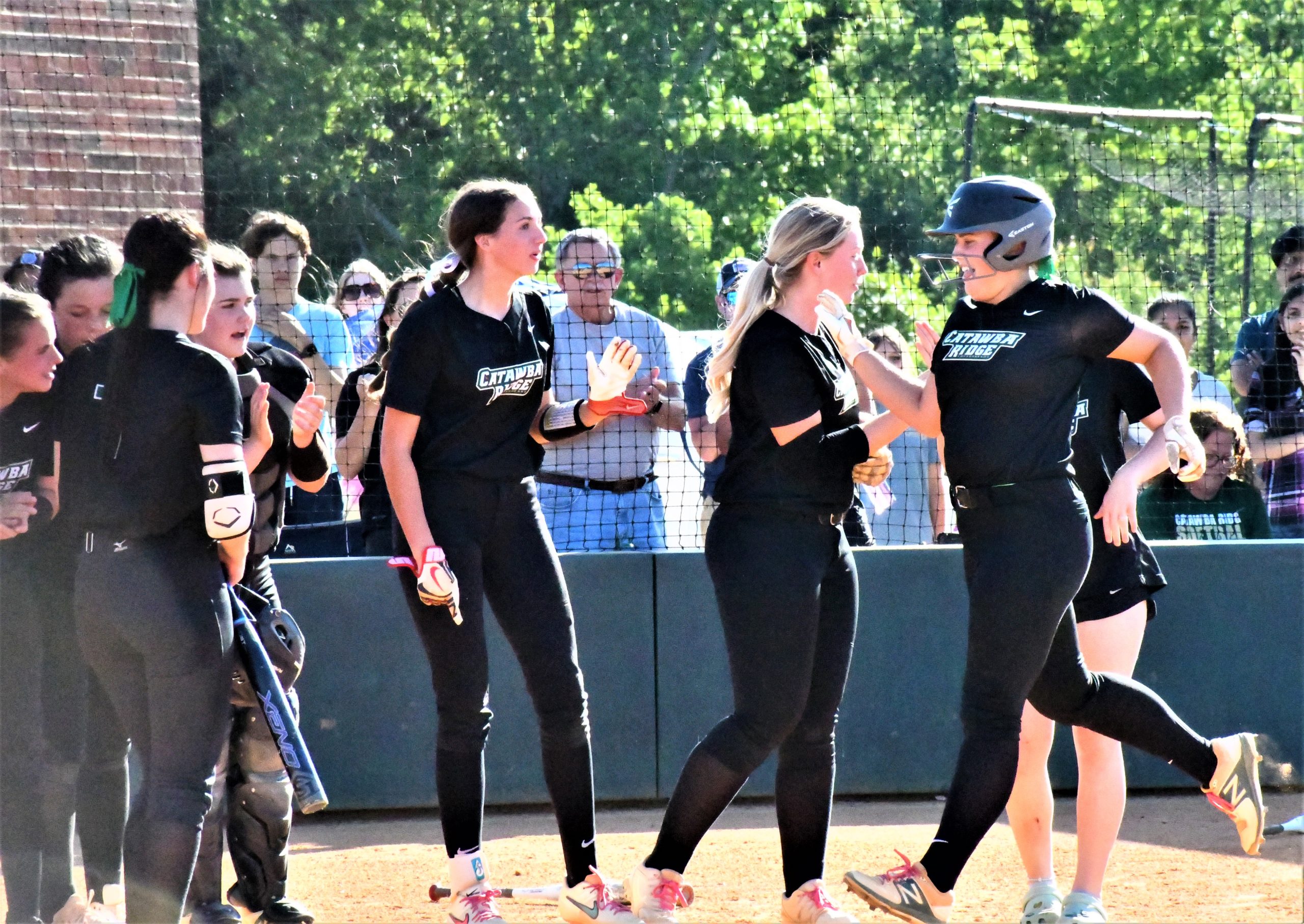 Catawba Ridge softball wins District III title - Fort Mill Prep Sports
